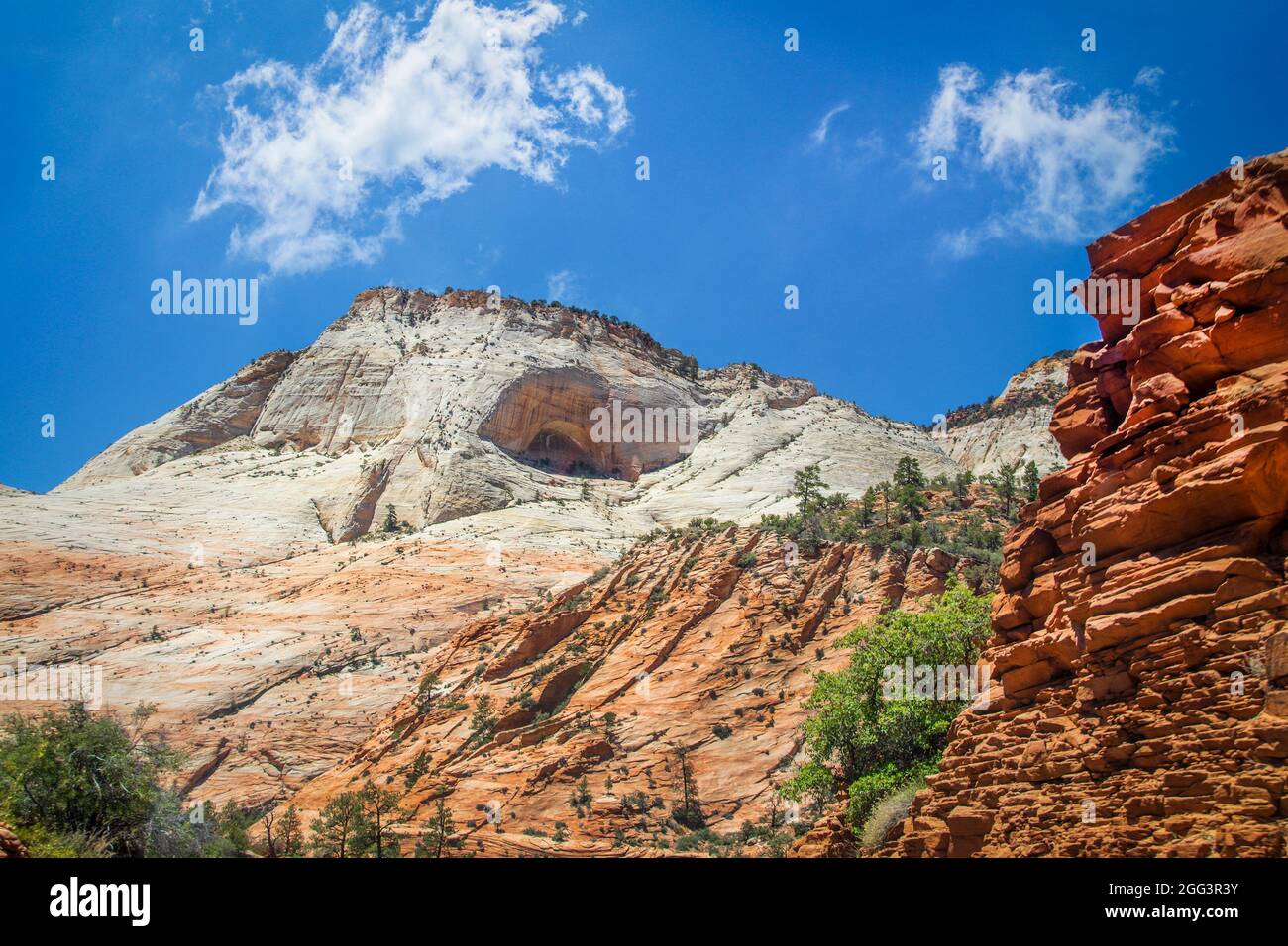 View of multi-colored layered cliffs in Zion National Park in Utah ...