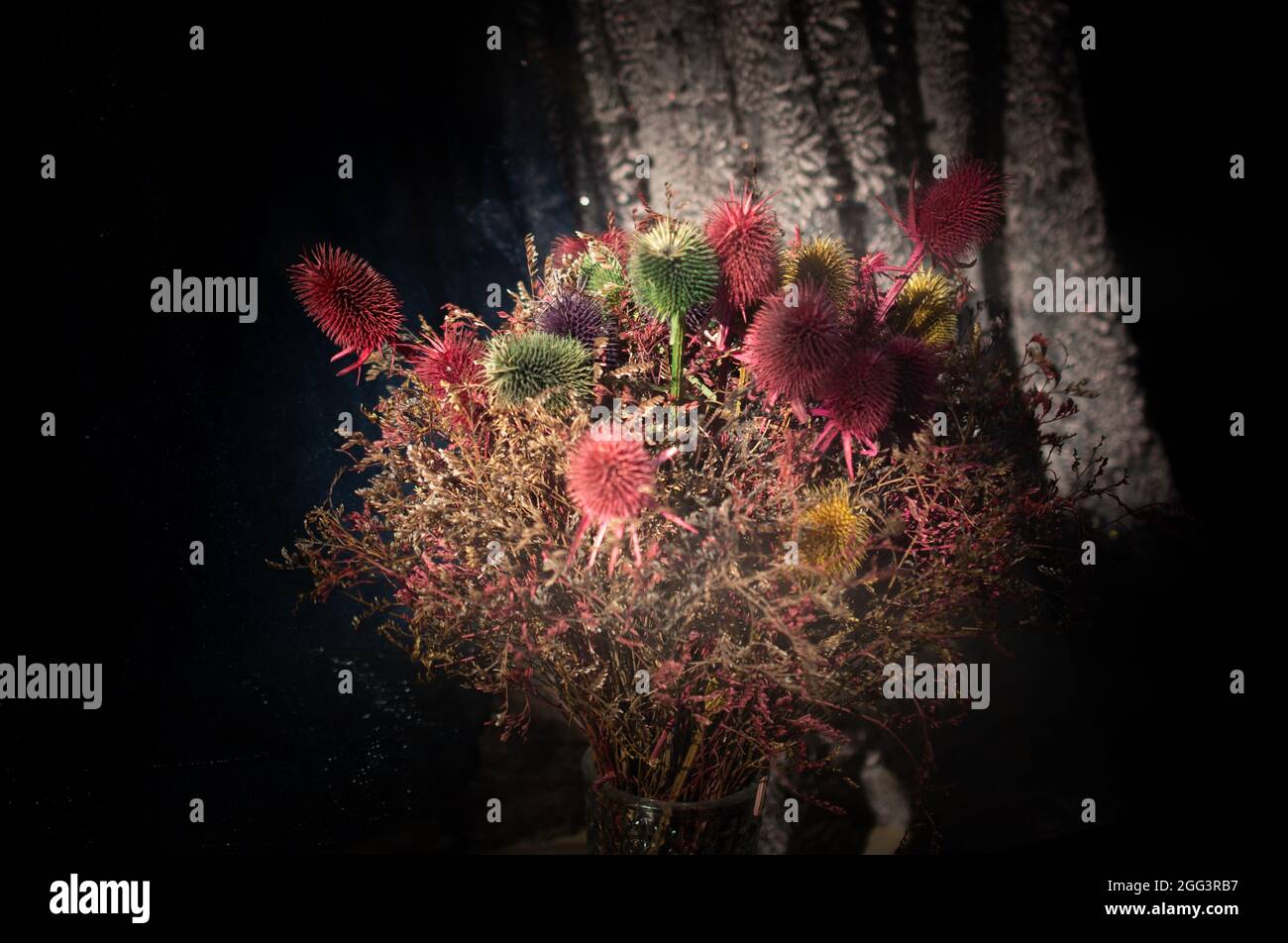 Colorful spiky flowers in the vase Stock Photo - Alamy