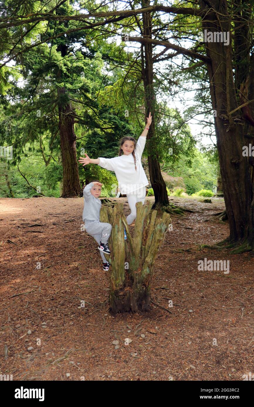 Children in Penrith Forest Stock Photo - Alamy