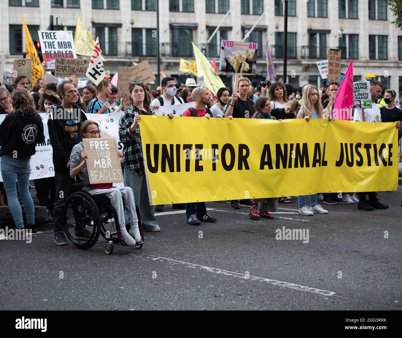 London, UK. 28th Aug, 2021. Extinction Rebellion, Animal Rights Protest ...