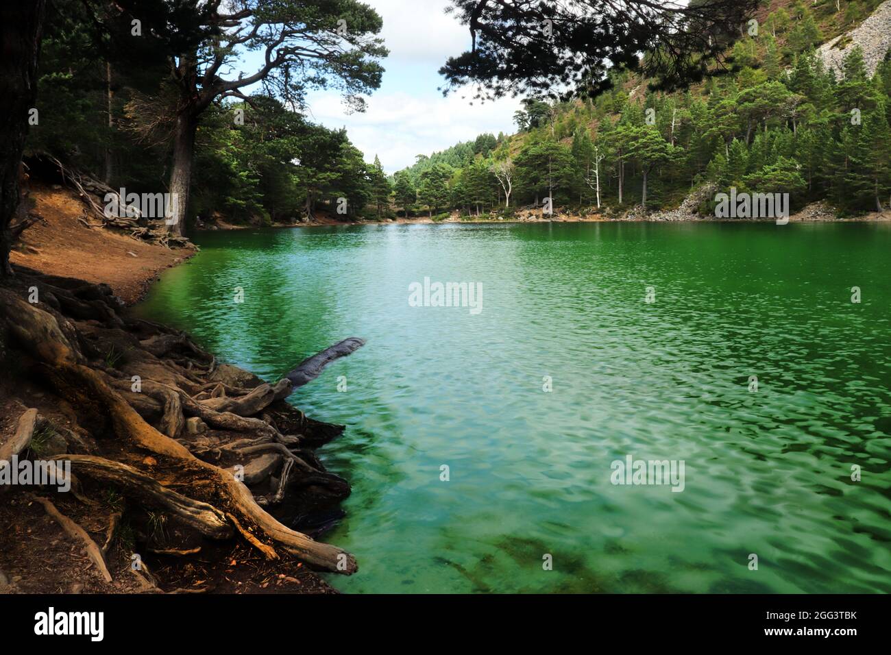 Green Loch, Glenmore, Scotland Stock Photo - Alamy
