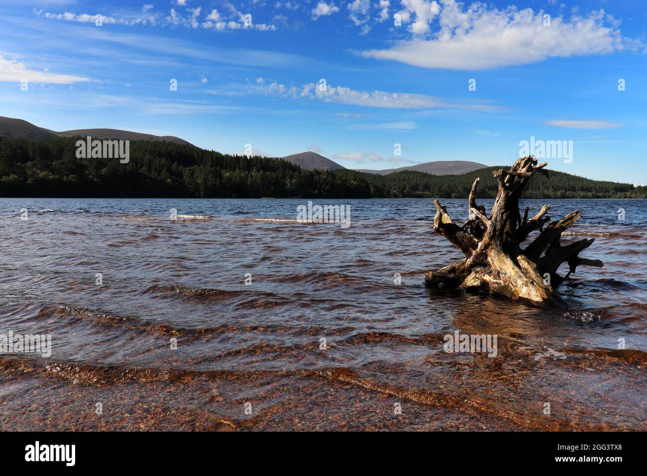 Loch Morlich Beach, Scotland Stock Photo - Alamy