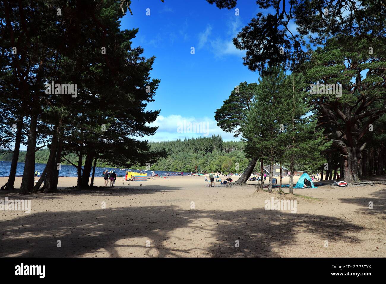 Loch morlich scotland beach hi-res stock photography and images - Alamy