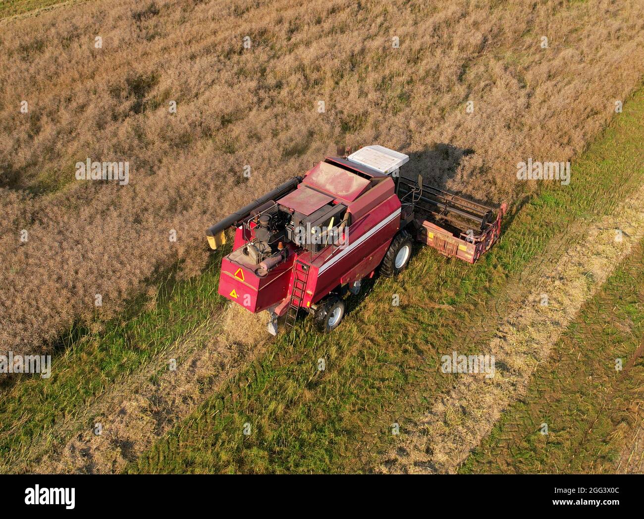 Combines at work during wheat harvest hi-res stock photography and ...