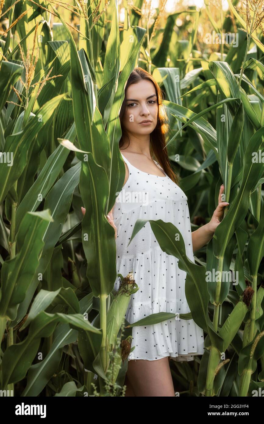 Young woman in corn field hi-res stock photography and images - Alamy