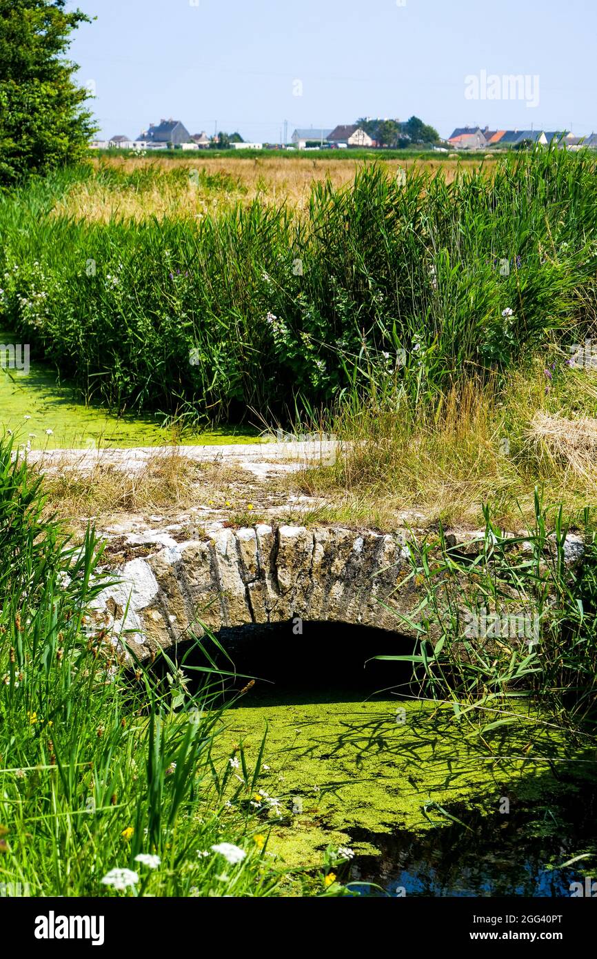 Manche department, Cotentin, Normandy Region, France Stock Photo - Alamy