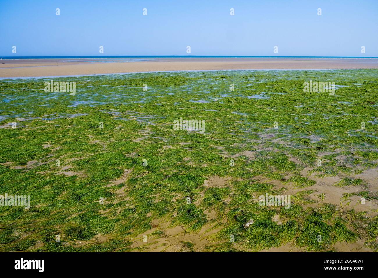 Manche department, Cotentin, Normandy Region, France Stock Photo - Alamy