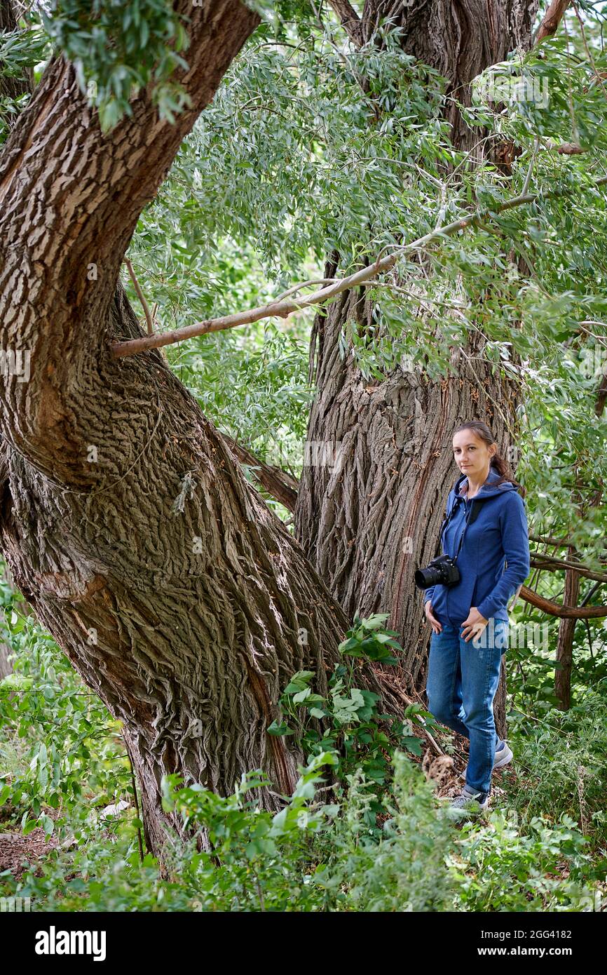 Majestic large tree stands hi-res stock photography and images - Alamy