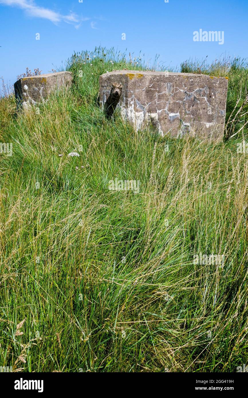 WWII German Blockhaus, Channel coast in Utah Beach area, Manche ...