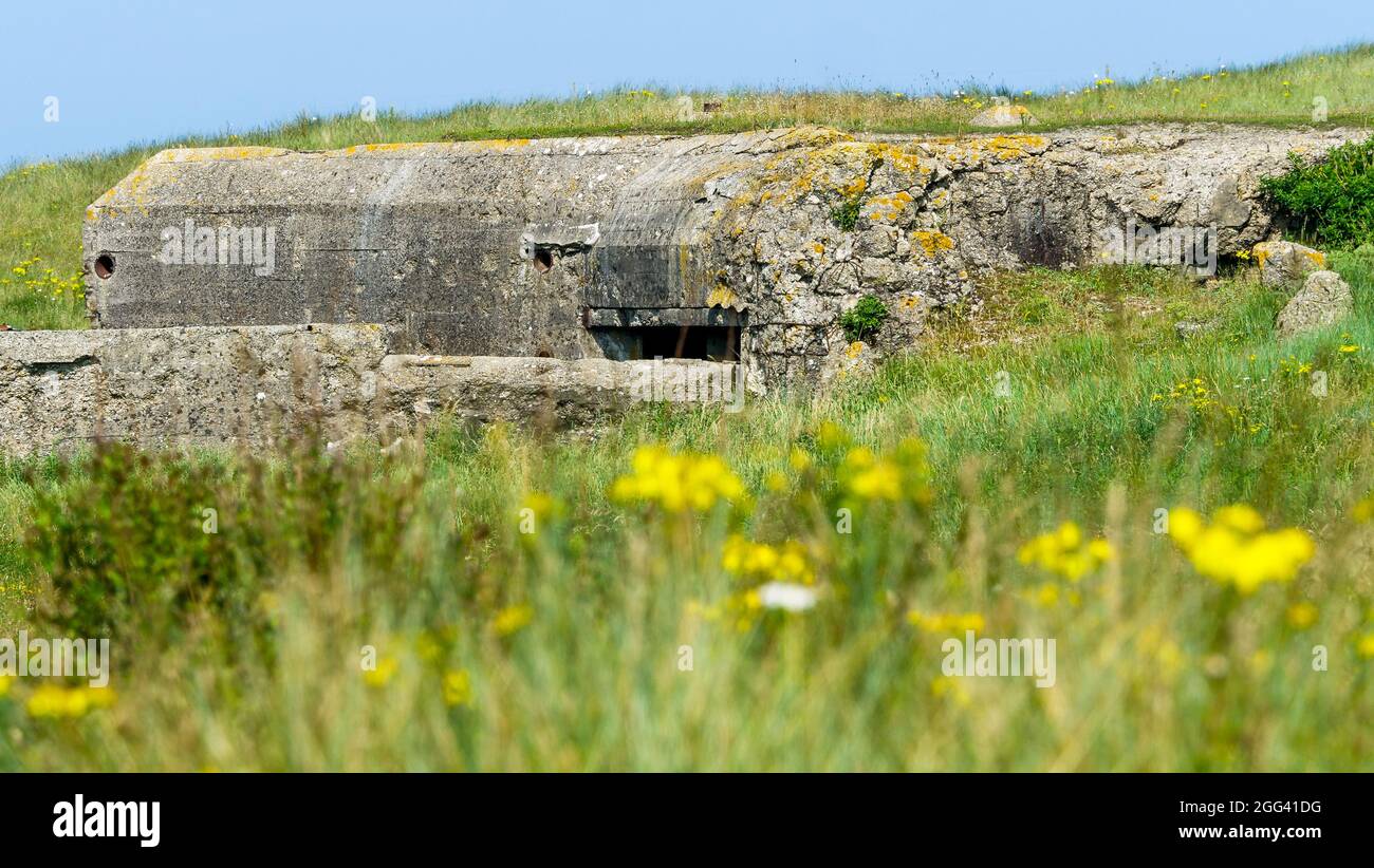 WWII German Blockhaus, Channel coast in Utah Beach area, Manche ...