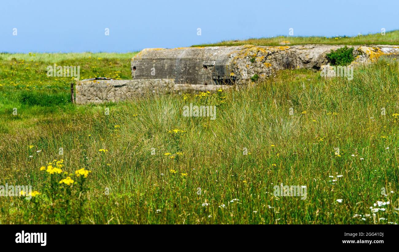 WWII German Blockhaus, Channel coast in Utah Beach area, Manche ...