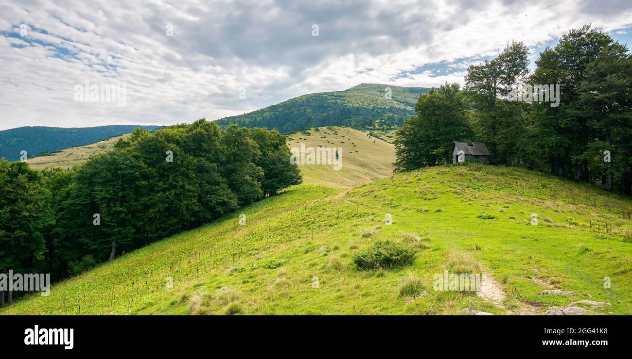 beautiful ukrainian countryside with green meadows and hills under blue ...