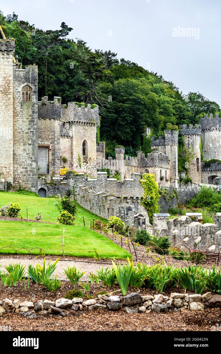 Garden and ruins of medieval style Gwrych Castle built in the 19th ...