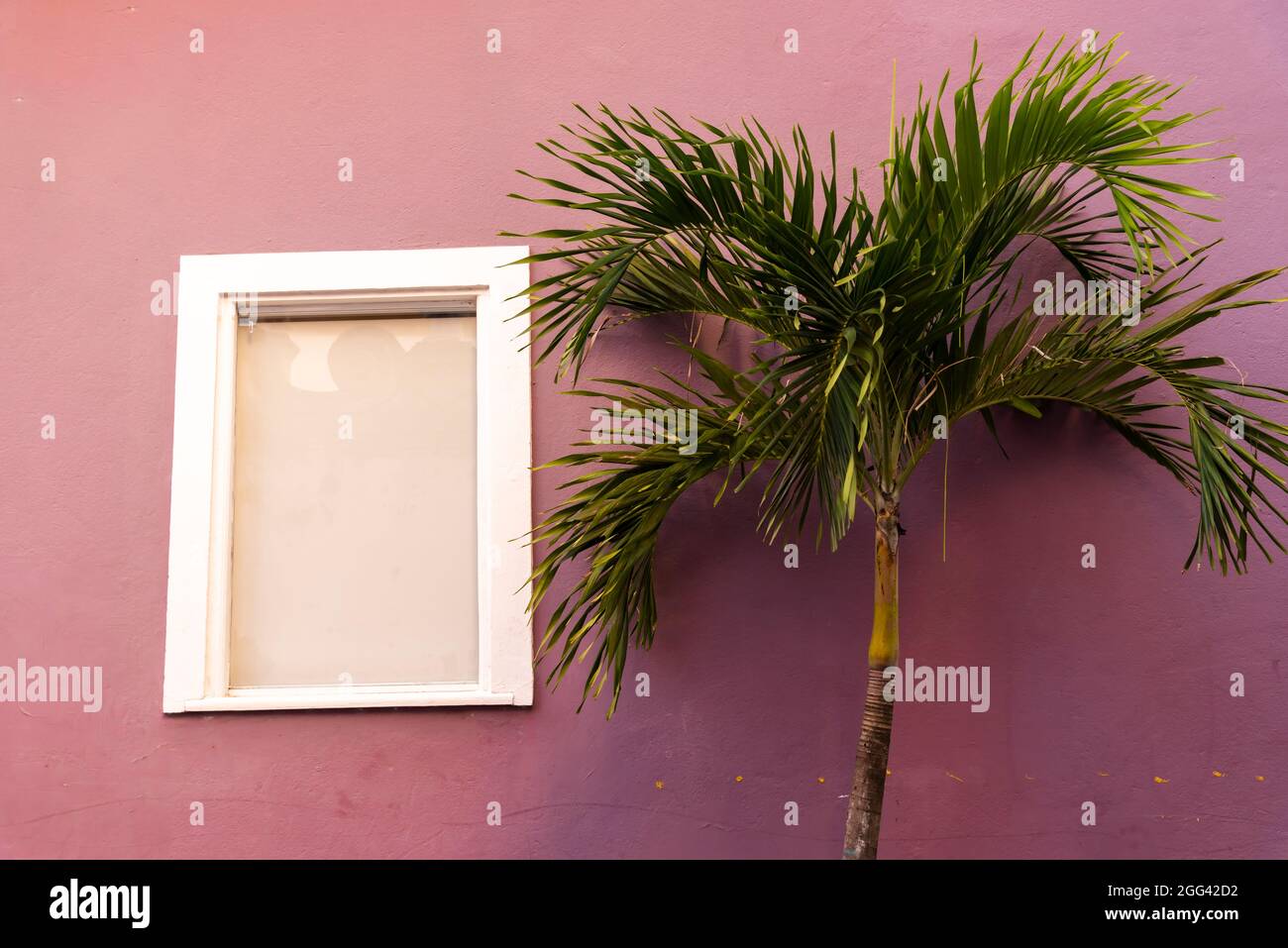 Old window details in color. Pelourinho, Salvador, Bahia, Brazil Stock ...