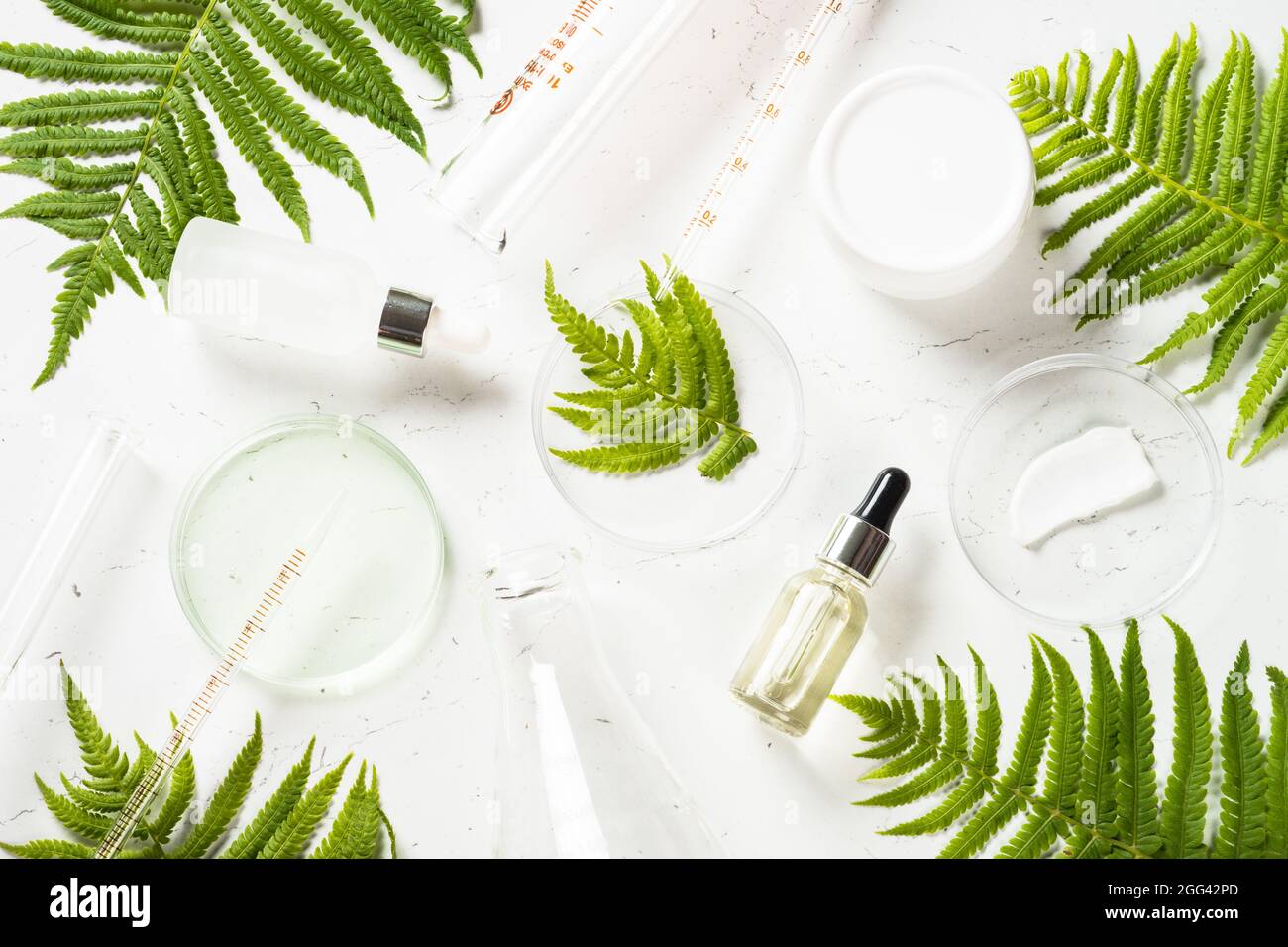 Cosmetic laboratory concept with natural cosmetic products Stock Photo ...