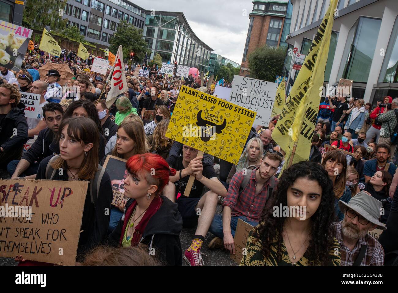 Animal rebellion protest london hi-res stock photography and images - Alamy