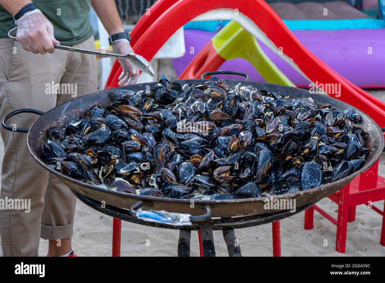 Cooking mussels in big pan Stock Photo - Alamy