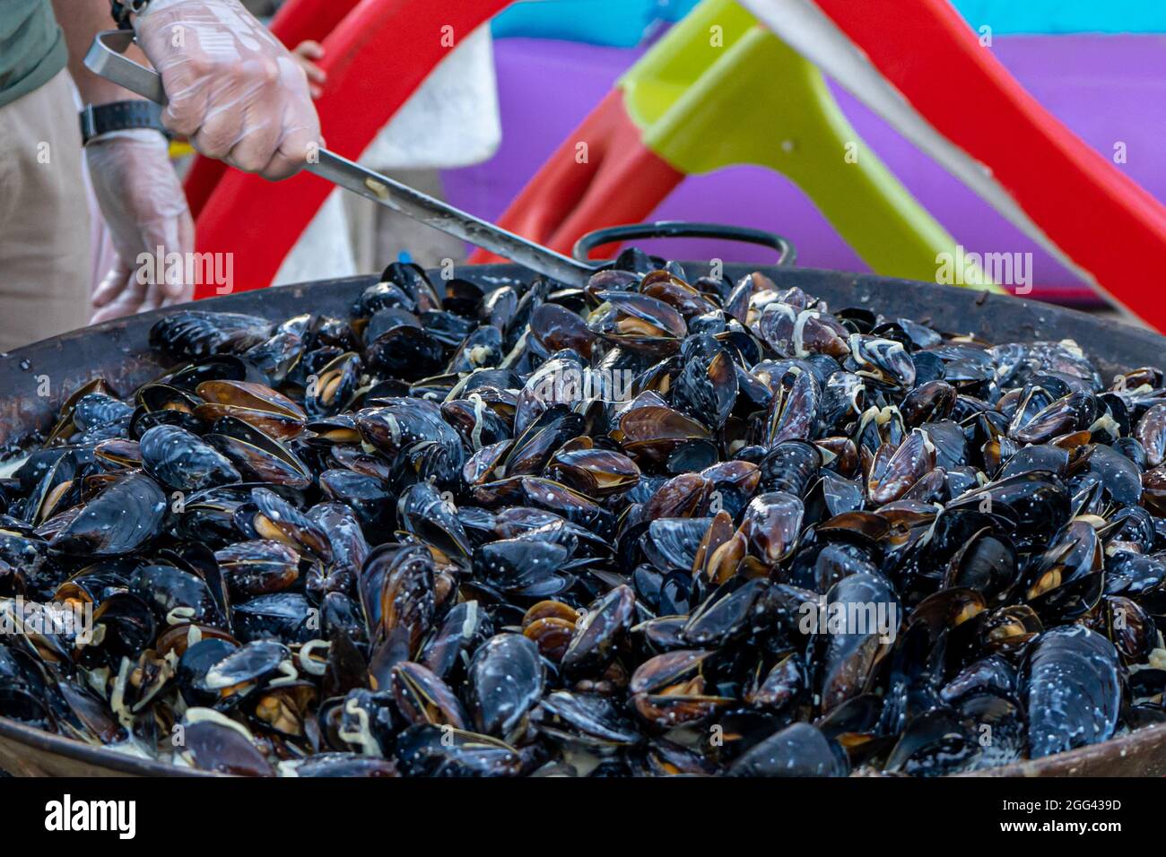 Cooking mussels in big pan Stock Photo - Alamy