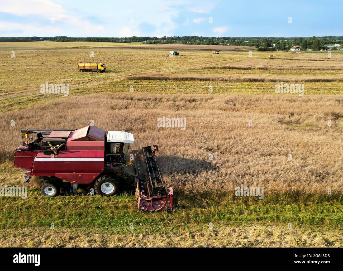 Combines at work during wheat harvest hi-res stock photography and ...