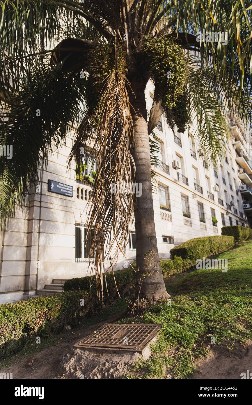 Recoleta plaza francia buenos aires hi-res stock photography and images ...