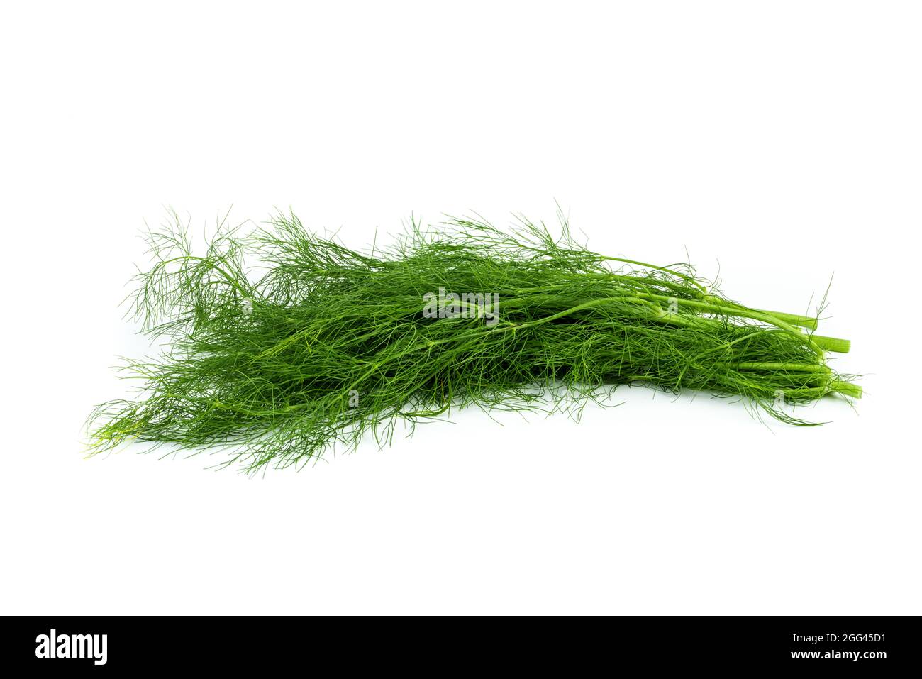 Bunch of fresh dill on a white background Stock Photo - Alamy