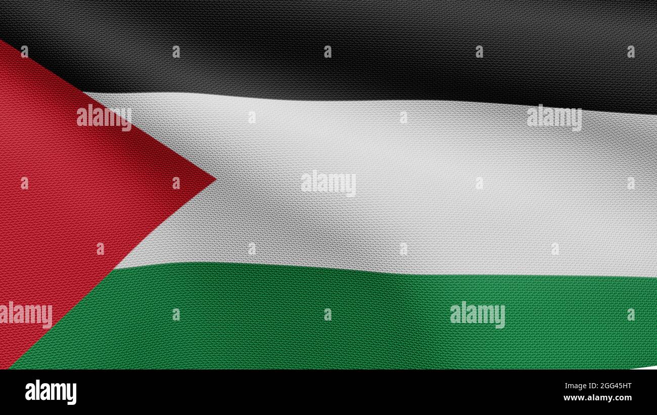 3D, Palestinian flag waving on wind. Close up of Palestine banner ...