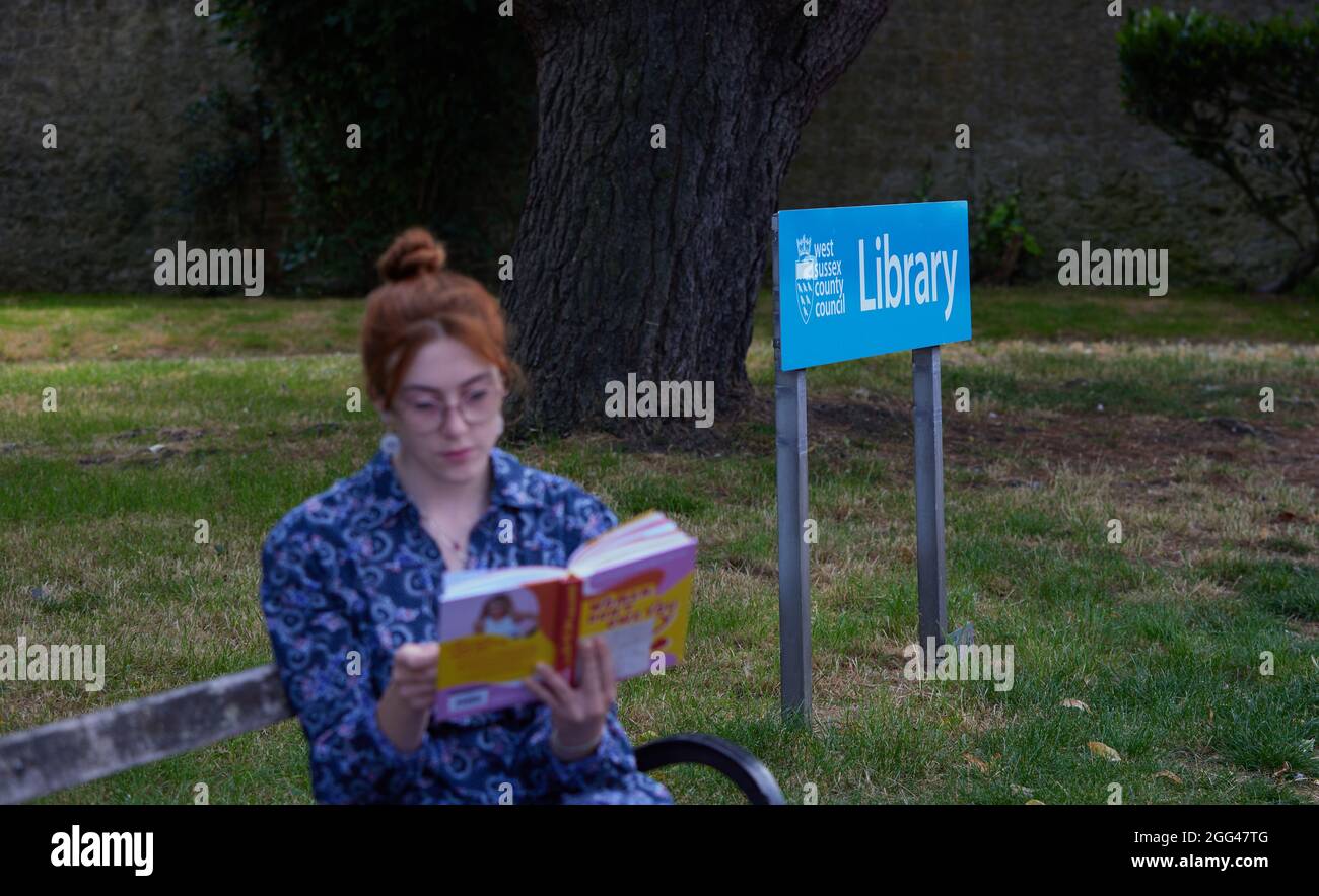 Library sign cut out hi-res stock photography and images - Alamy