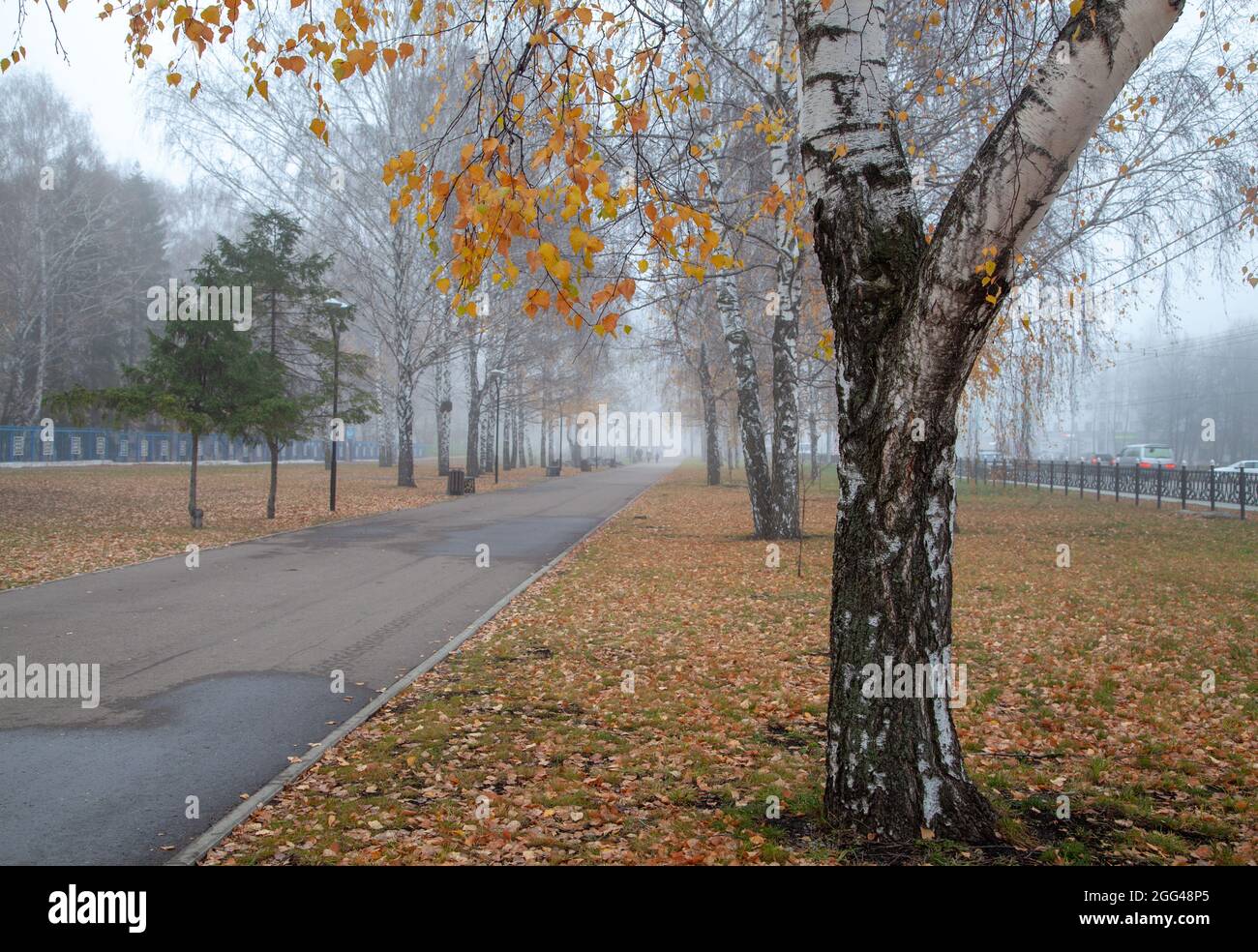 Narrow path in the park on a late autumn day Stock Photo - Alamy