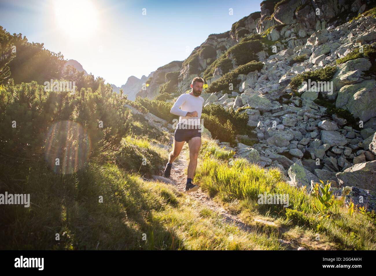 trail runner running in mountain landscape at sunset active lifestyle ...