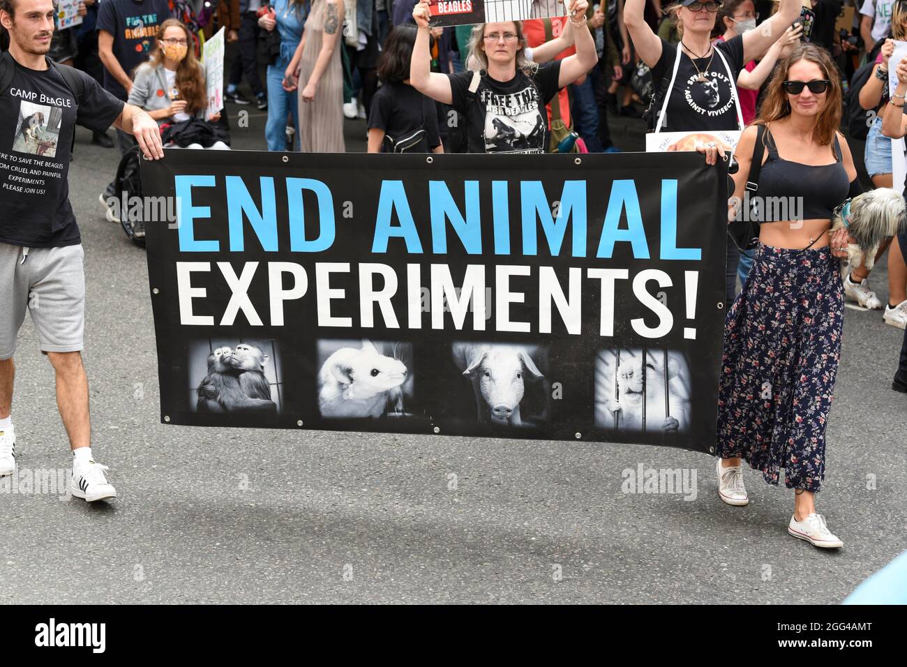 End animal experiments hi-res stock photography and images - Alamy