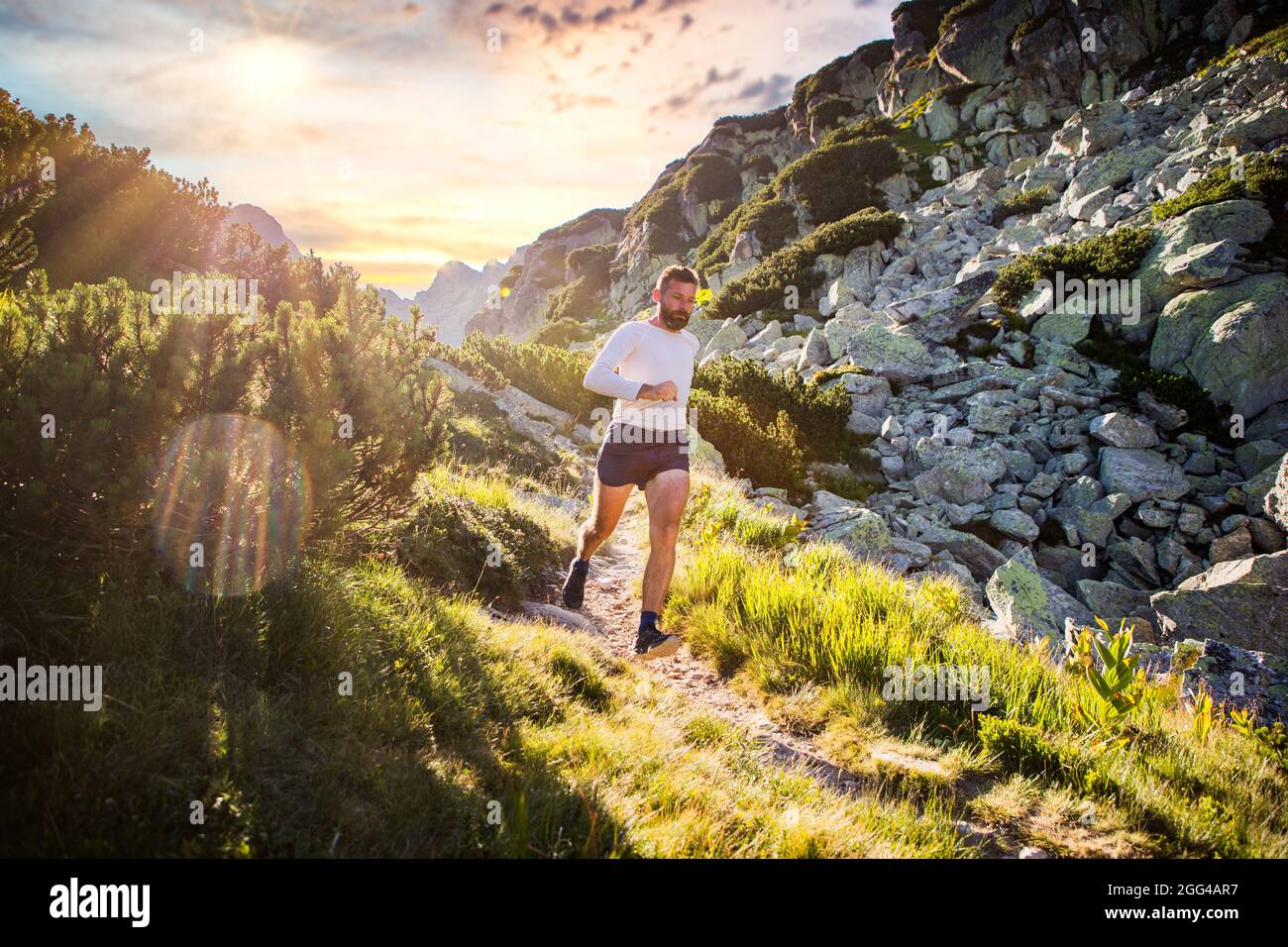 trail runner running in mountain landscape at sunset active lifestyle ...