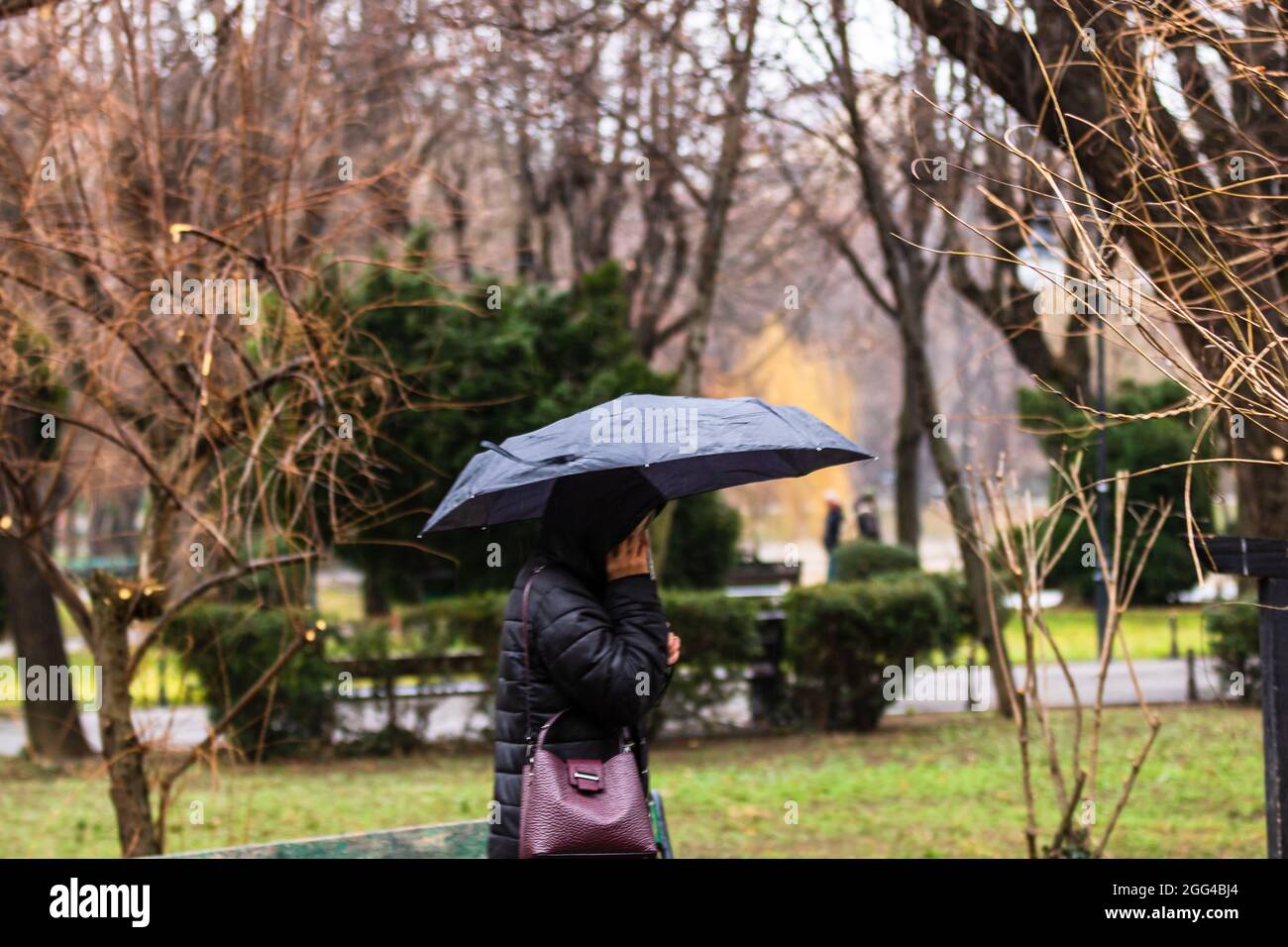 People with umbrella on the street on a rainy day in Bucharest, Romania ...