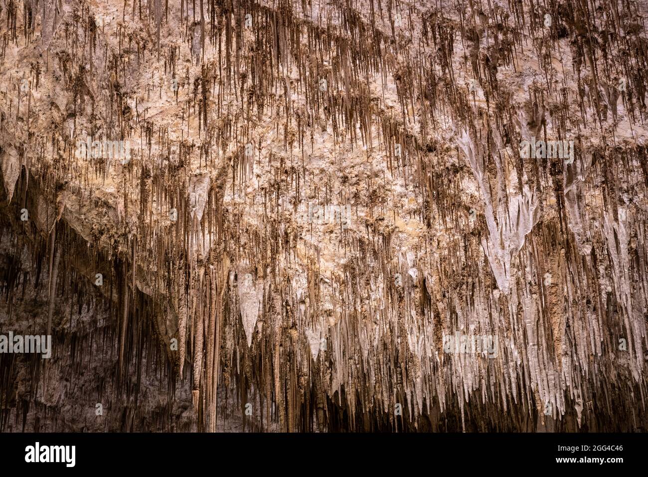 Ceiling of Stalactites Hanging Down from chamber in Carlsbad caverns ...