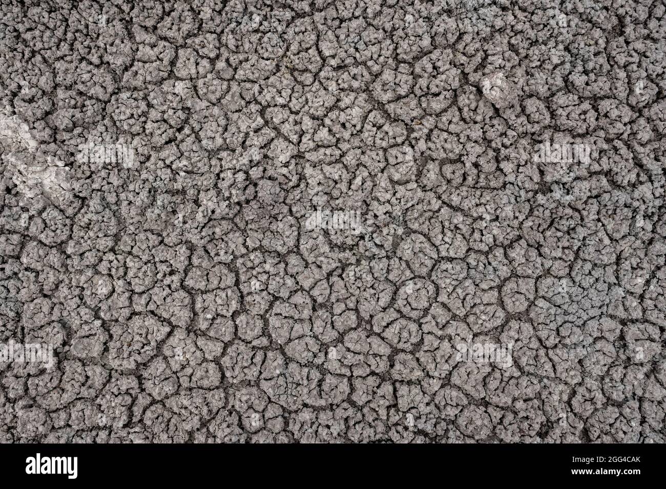 Crumbly Desert Floor background image from Capitol Reef National Park ...