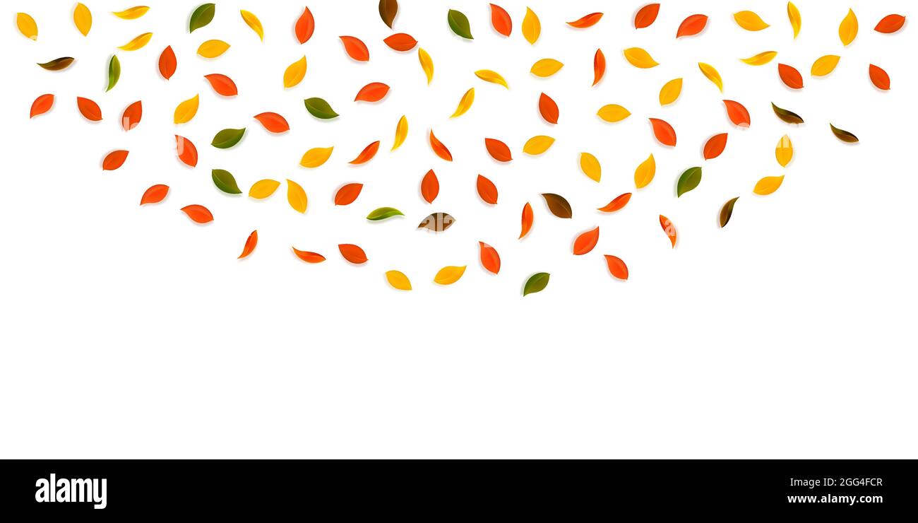 Random flying fresh green Stock Vector Images - Alamy