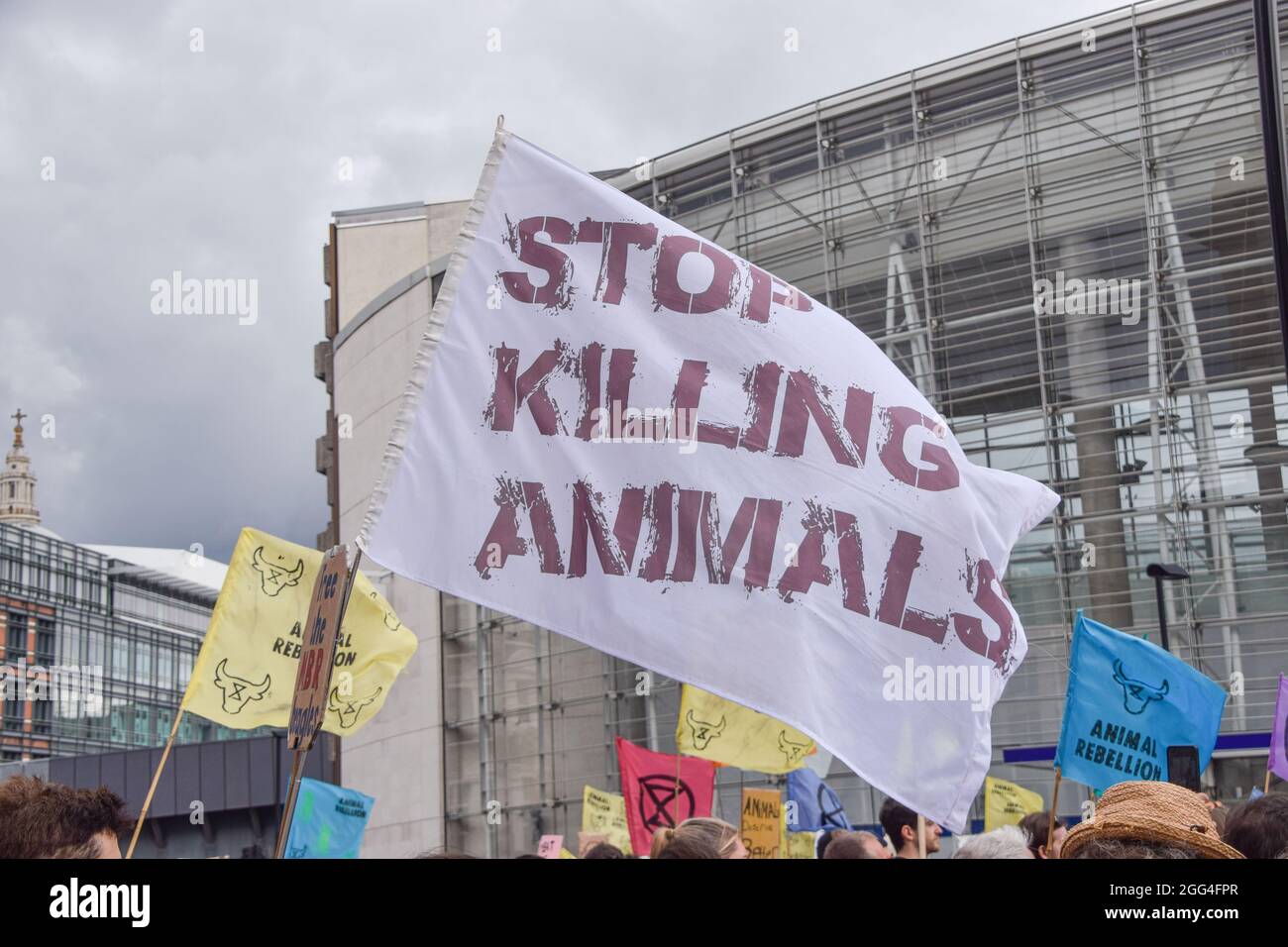 A protester holds a 'Stop Killing Animals' flag outside the Unilever ...
