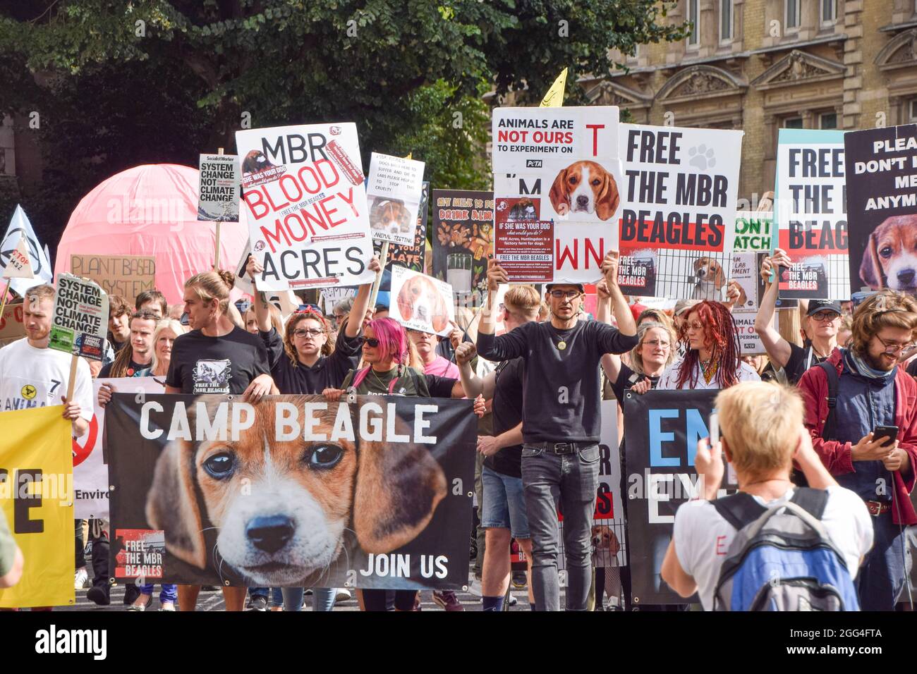 Protesters hold banners and placards demanding the release of MBR Acres ...