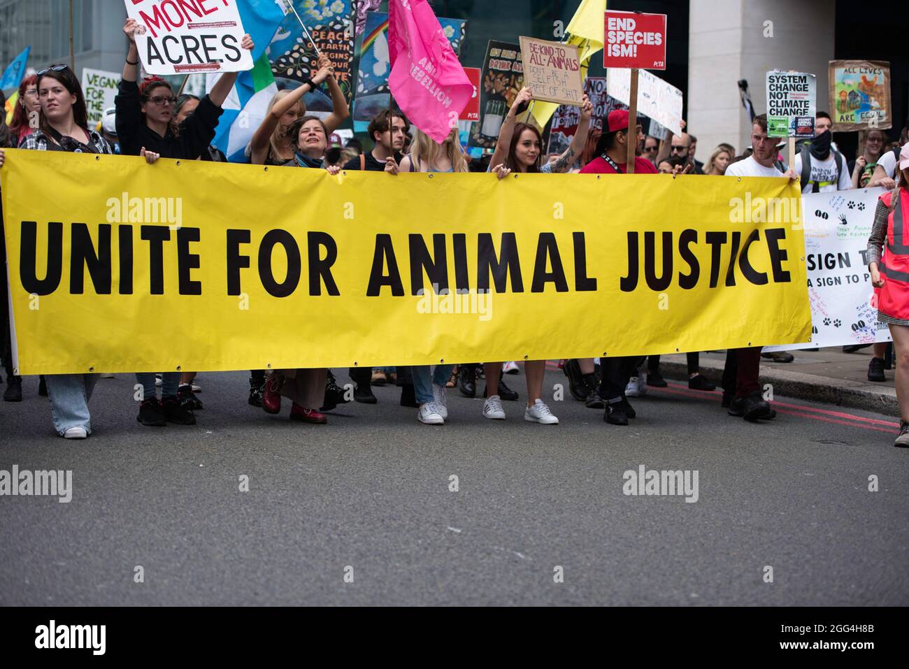 Animal rebellion large banner hi-res stock photography and images - Alamy