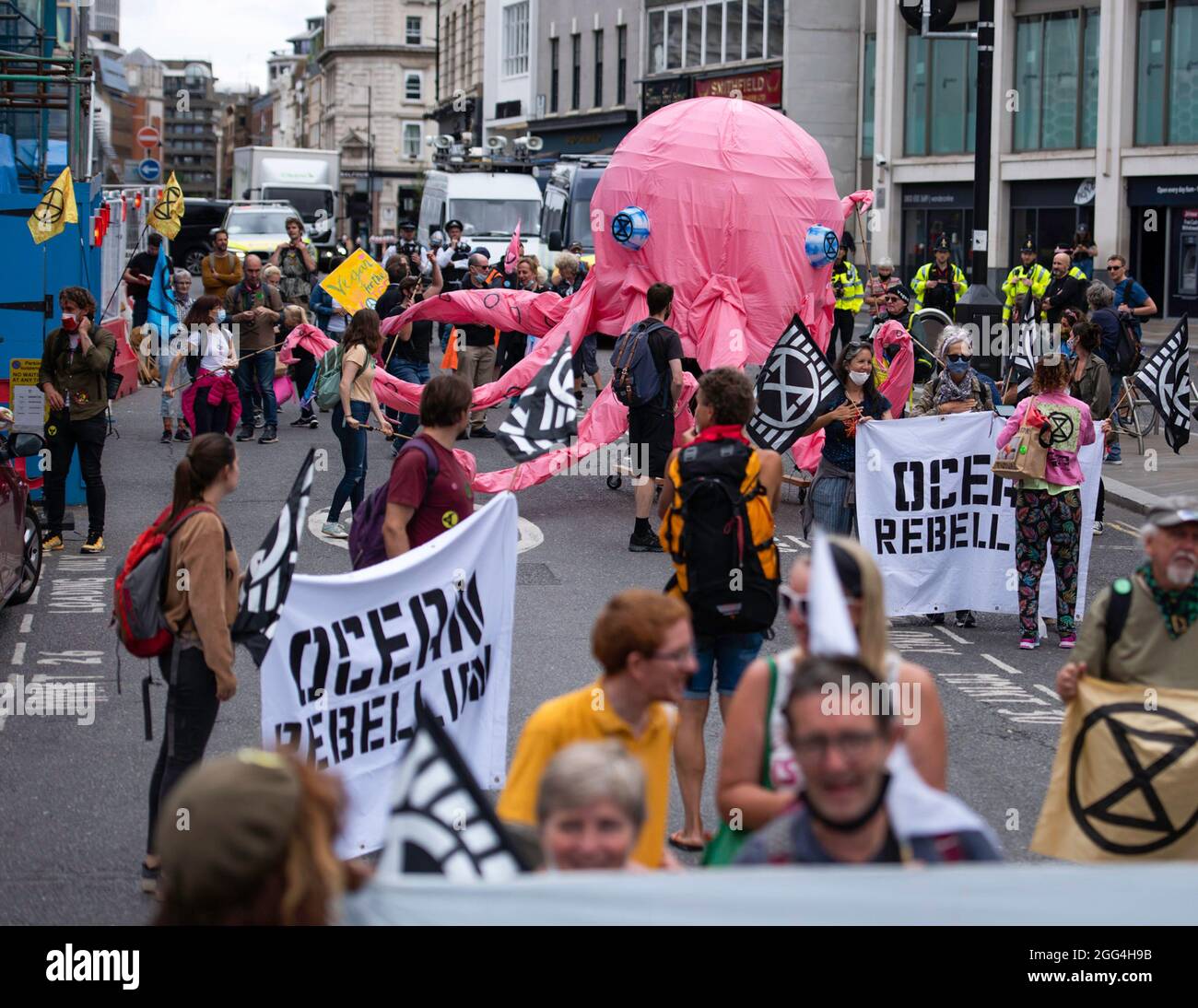 Animal rebellion octopus hi-res stock photography and images - Alamy