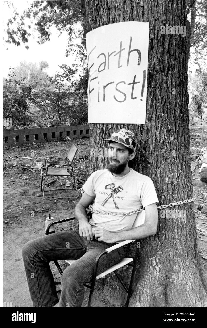 Tree deforestation activist hi-res stock photography and images - Alamy