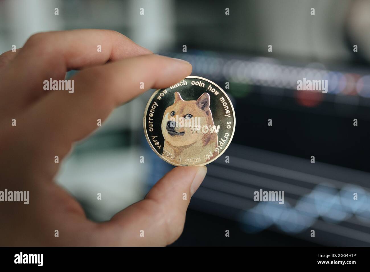 Meme internet hi-res stock photography and images - Alamy