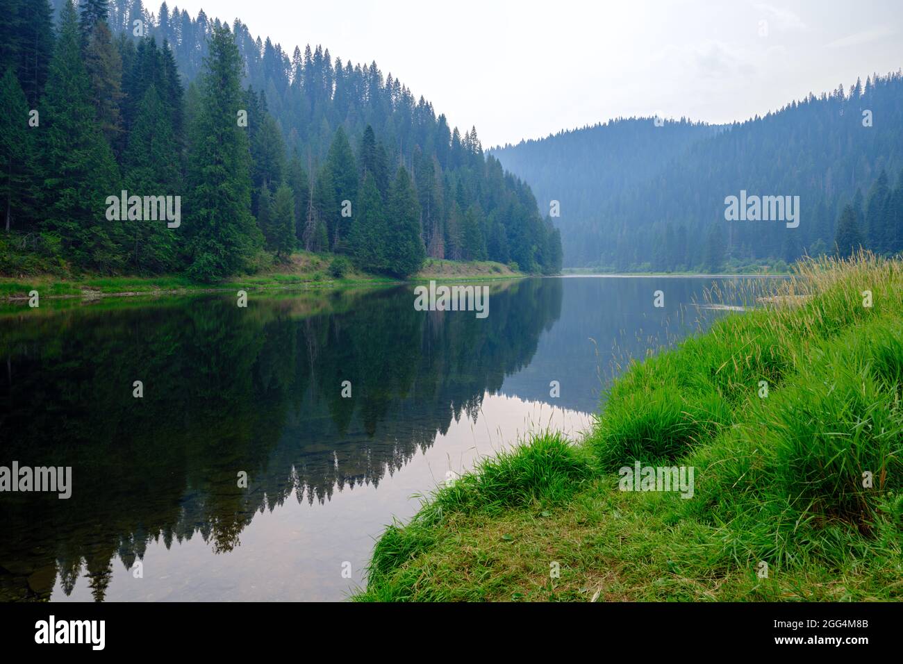 Syringa Idaho High Resolution Stock Photography and Images - Alamy