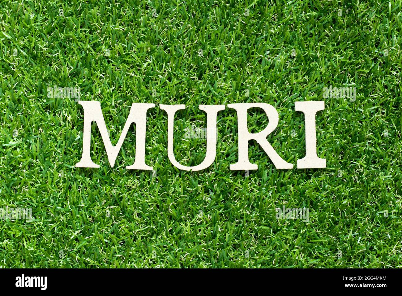 Alphabet letter in word muri on green grass background Stock Photo - Alamy