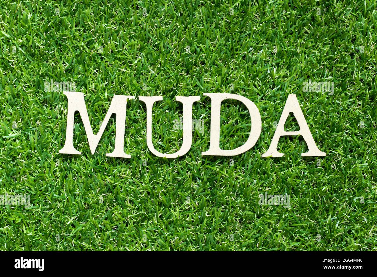 Alphabet letter in word muda on green grass background Stock Photo - Alamy