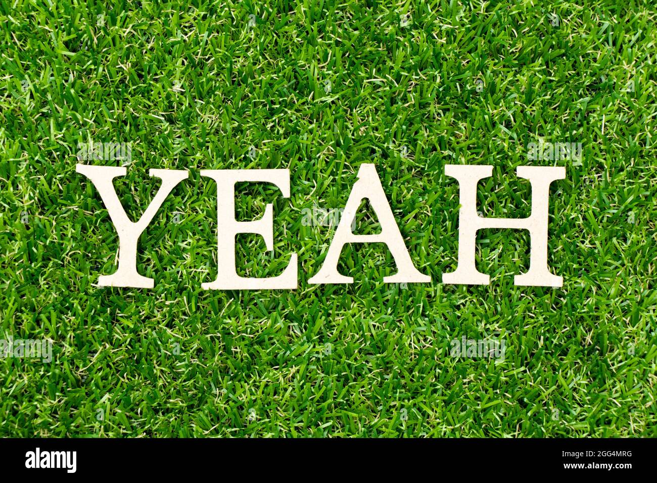Wood letter in word yeah on green grass background Stock Photo - Alamy