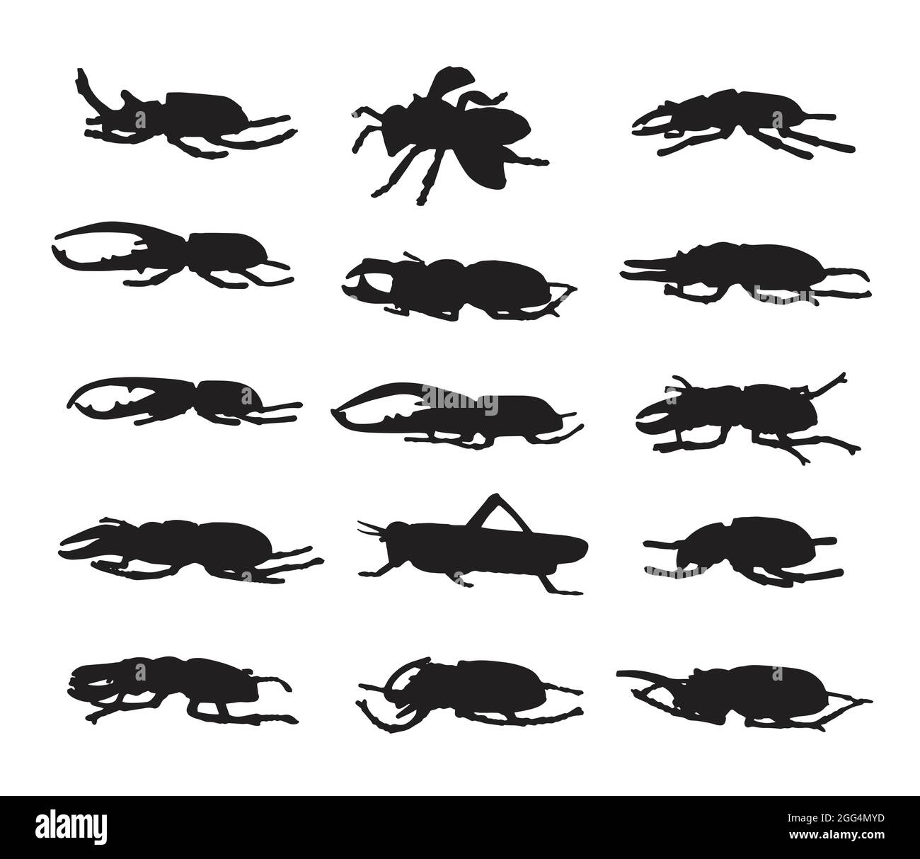 Mosquito logo vector hi-res stock photography and images - Alamy