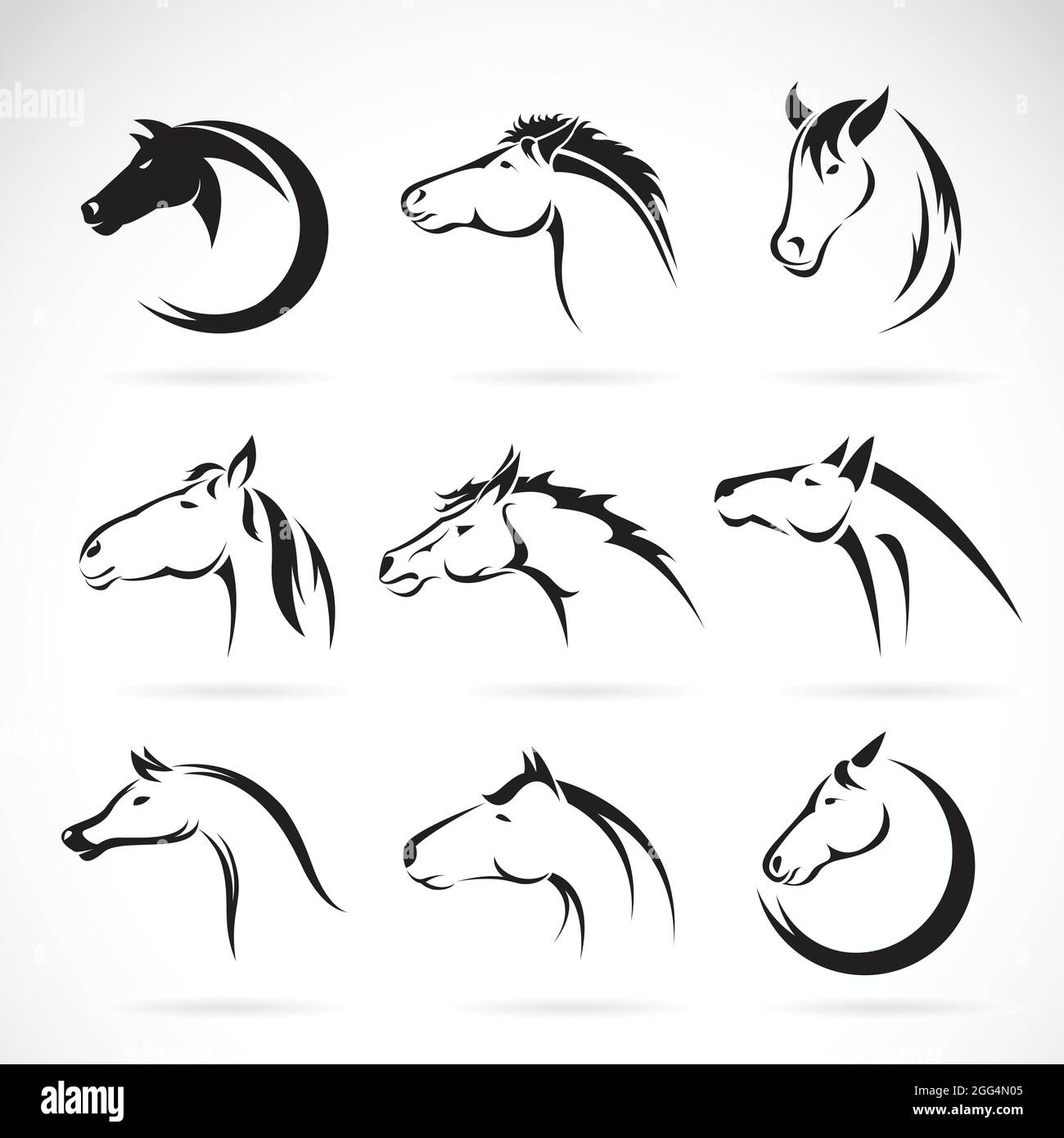 Vector group of horse head design on white background. Easy editable ...