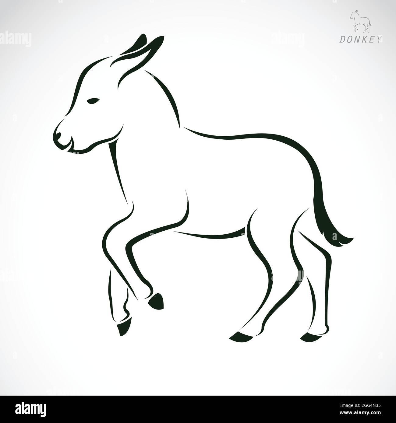 Vector image of an donkey on white background. Easy editable layered ...