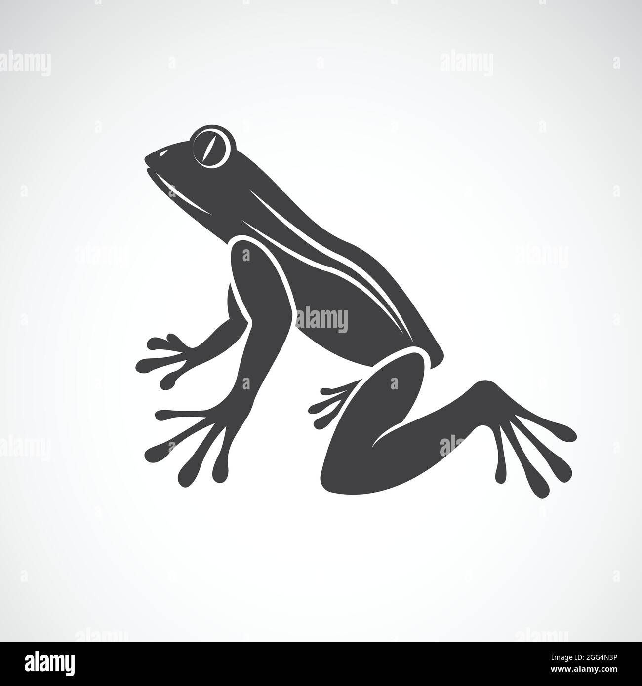 Vector image of a frog design on white background. Easy editable ...