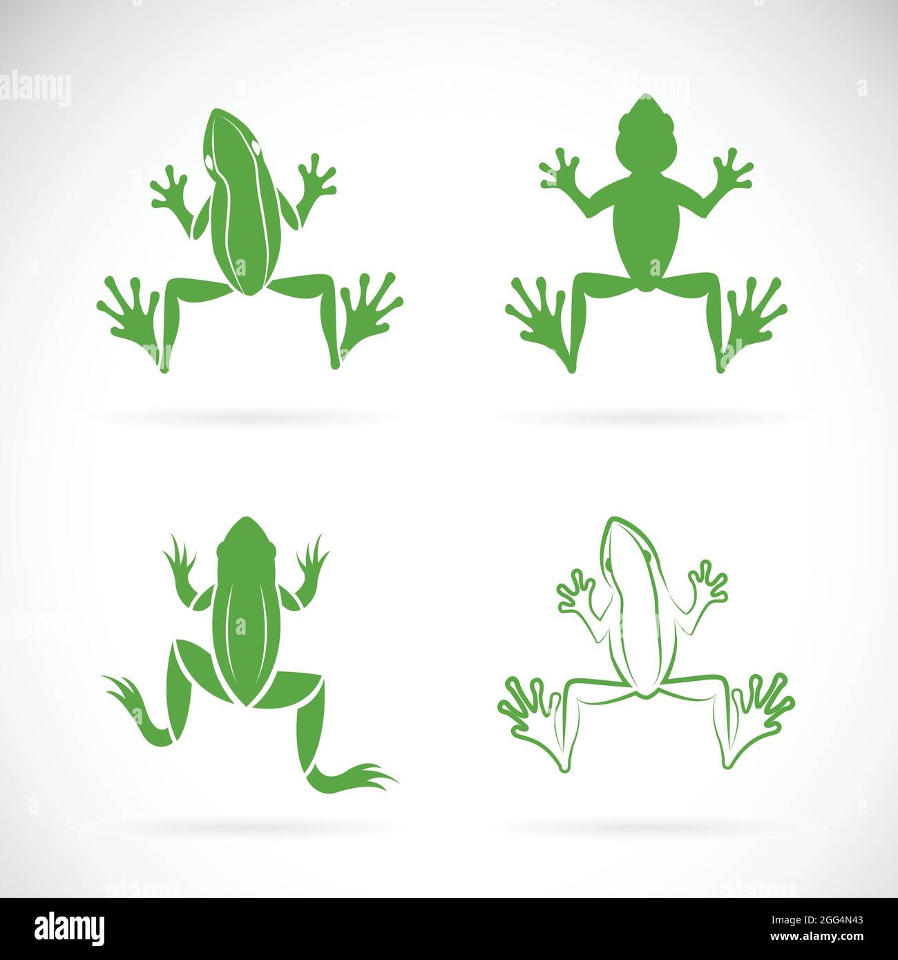 Vector group of frogs design on white background. Amphibian. Animal ...